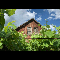 Família Manfro - Serviço - Guia de Caxias do Sul